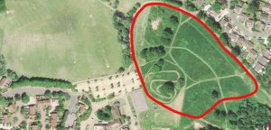 Goldsworth Park recreation space debate hits fever pitch ...