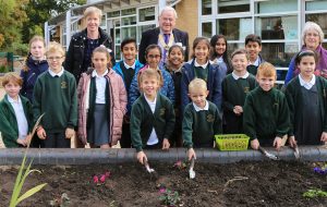 Goldsworth and St John's primary schools plant 5,000 purple crocuses ...