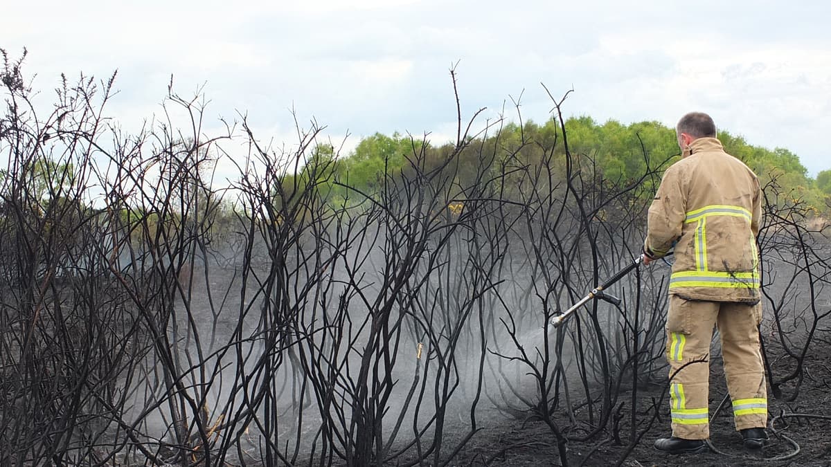Chobham Common fire - was it arson? | wokingnewsandmail.co.uk