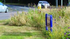 Return of the roundabout lemons | wokingnewsandmail.co.uk