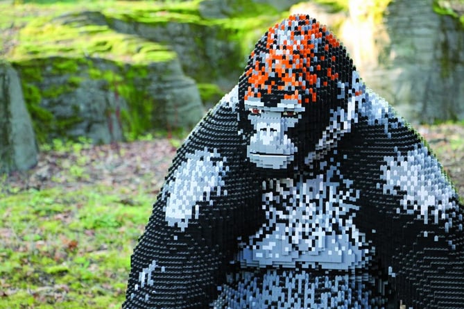 Life-size Lego animals migrate to RHS Wisley | wokingnewsandmail.co.uk