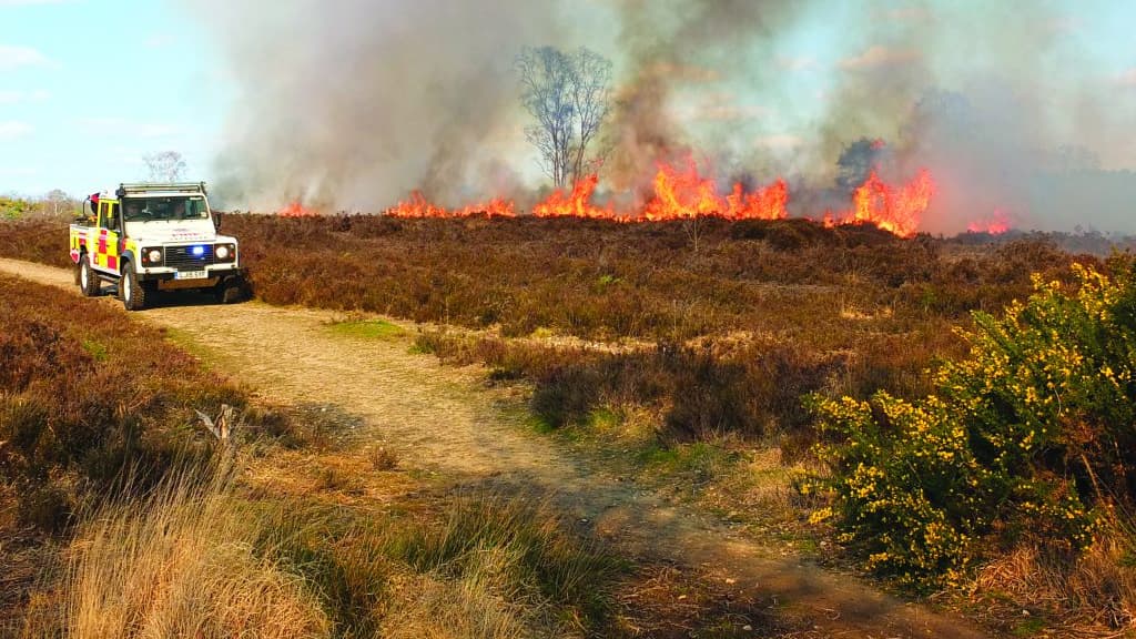 Fire tears through Chobham Common | wokingnewsandmail.co.uk