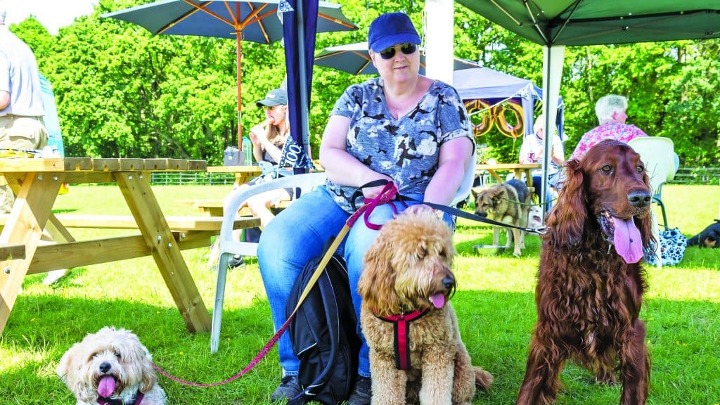 Sally's 100 dog walk | wokingnewsandmail.co.uk
