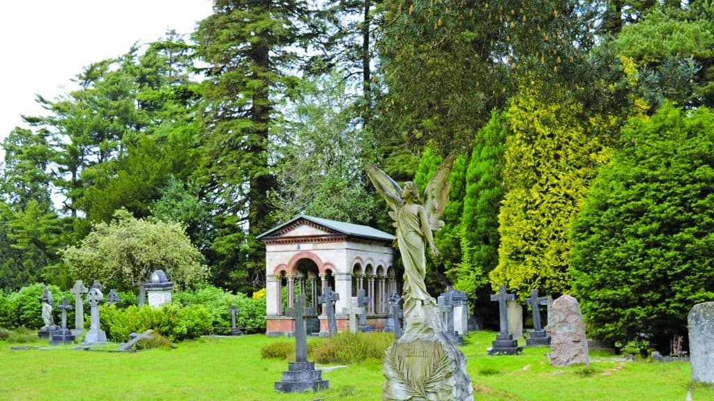 Brookwood Cemetery wildlife features in new David Attenborough BBC ...