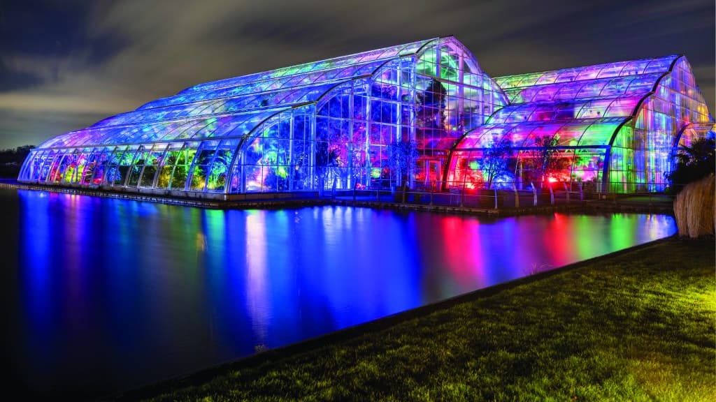 'Get your Glow on' at RHS Wisley | wokingnewsandmail.co.uk