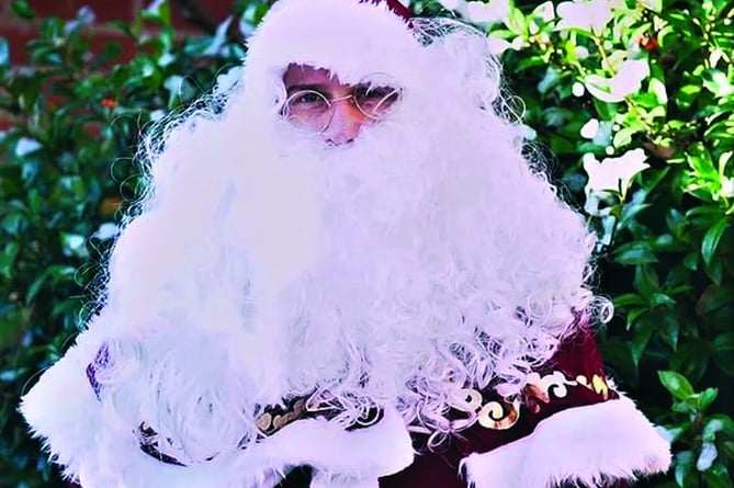 Bring Santa to your garden | wokingnewsandmail.co.uk