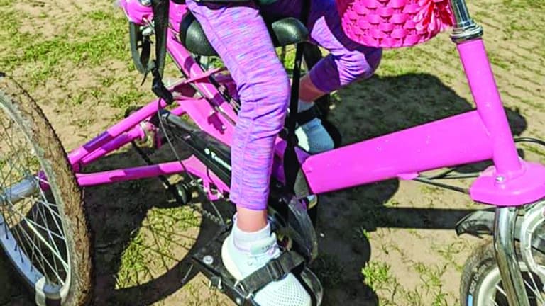 Isla’s challenge raises £3,000 for welfare of ponies ...