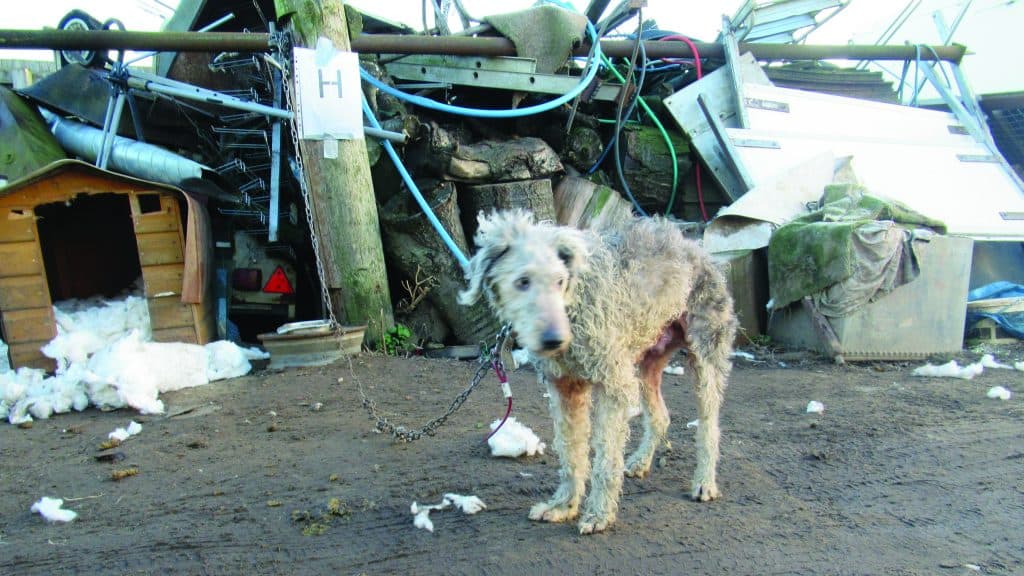 ‘One of the most difficult cases I’ve seen’: farmer jailed after ...