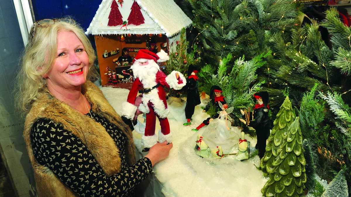 Window dressing creates a magical forest for Santa | wokingnewsandmail ...