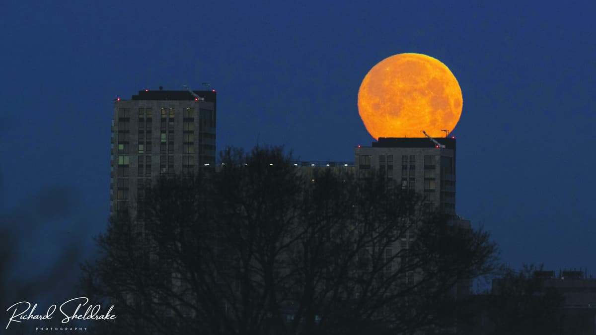 Wolf moon over town centre | wokingnewsandmail.co.uk