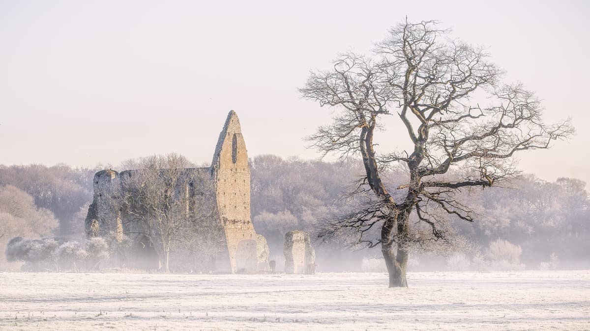 Priory picture wins prize for Diana | wokingnewsandmail.co.uk