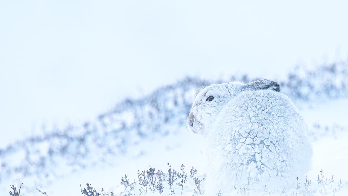 Woking's top photographic talent on show | wokingnewsandmail.co.uk