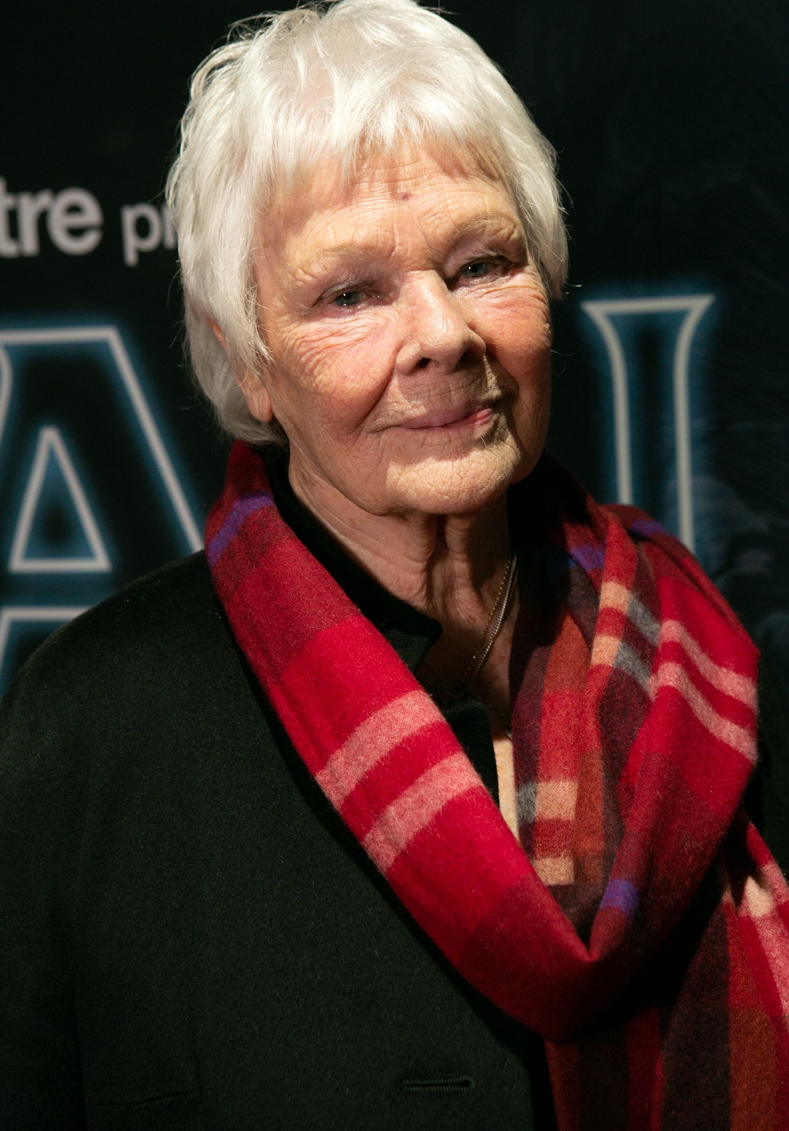 Star-studded audience at New Victoria's latest opening night ...