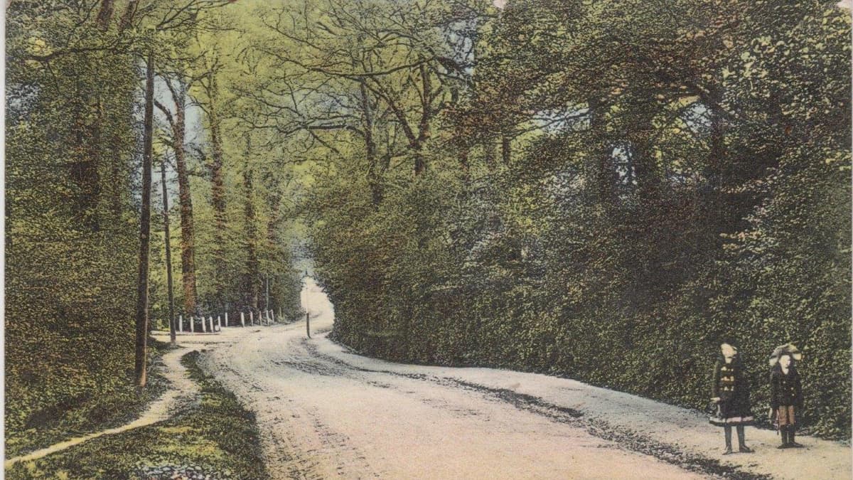 Peeps Into The Past: What became of Lily and Will's long-distance love ...