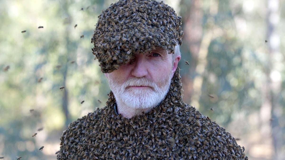 George McGavin gets a buzz out of all sorts of insects - and shares his ...