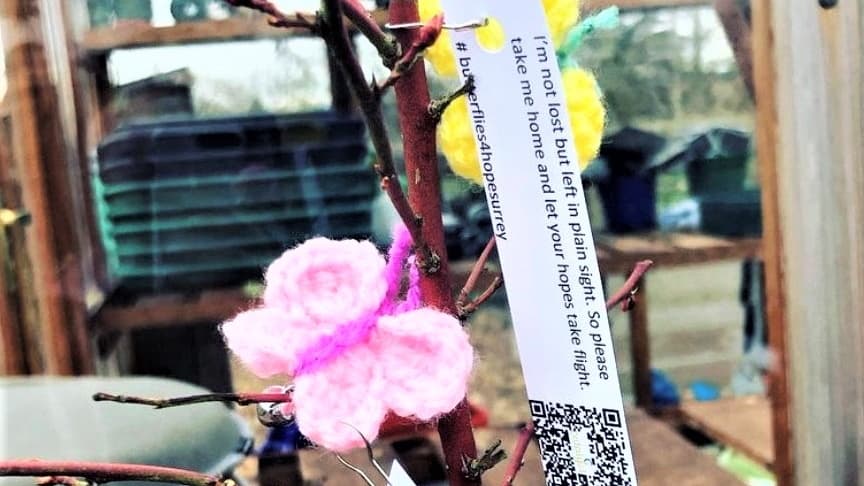Handmade butterflies from Woking sharing messages of hope around Surrey ...