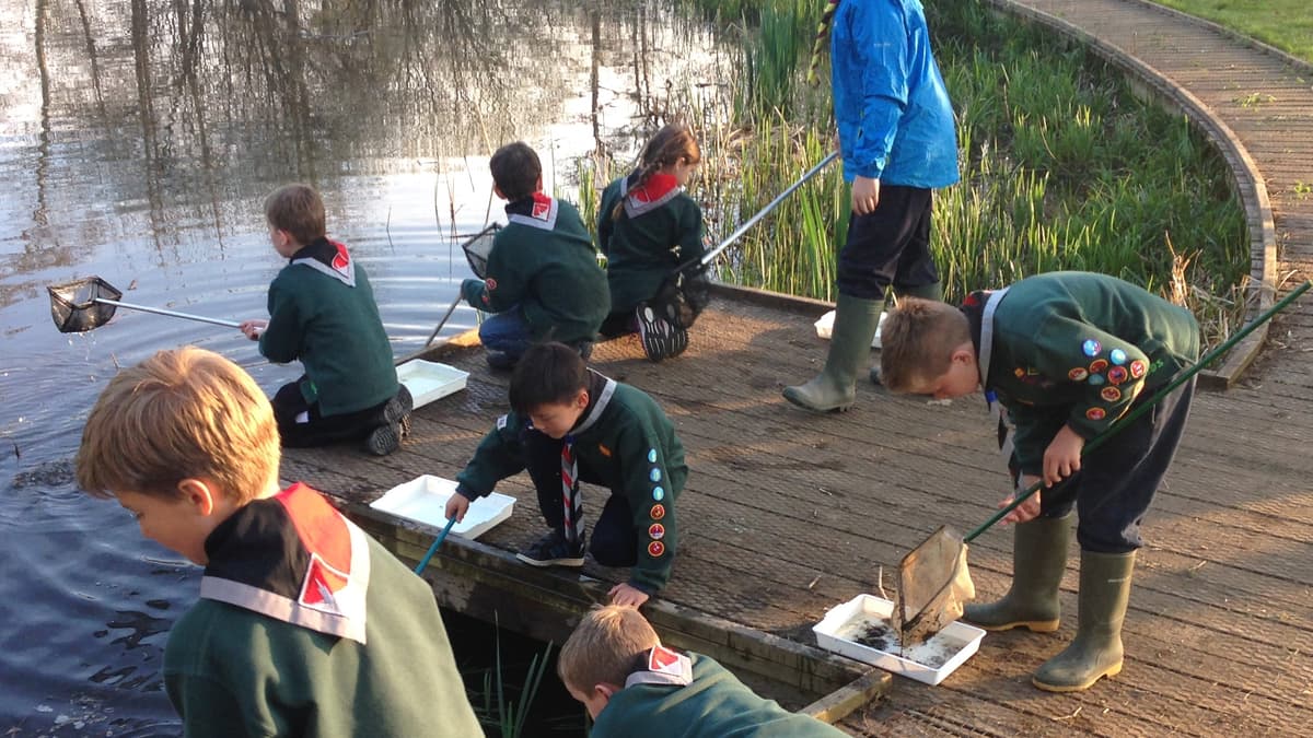 Fox Corner Wildlife Area appeal needs your help to reach target for ...