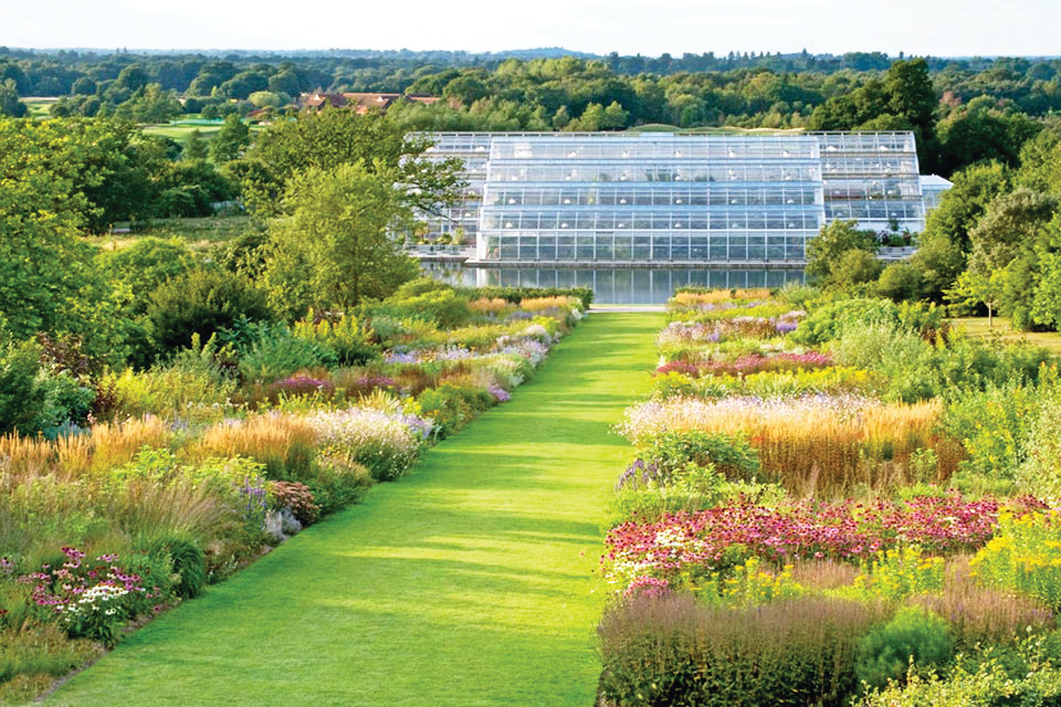 RHS Wisley borders will be transformed into a paradise ...
