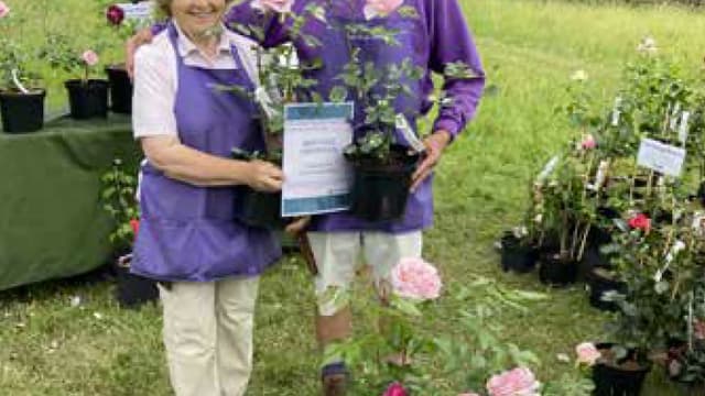 Gilbert White's House celebrates 30 years of its Unusual Plants Fair ...