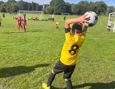Headley Playing Fields pitches plan causes environmental controversy ...
