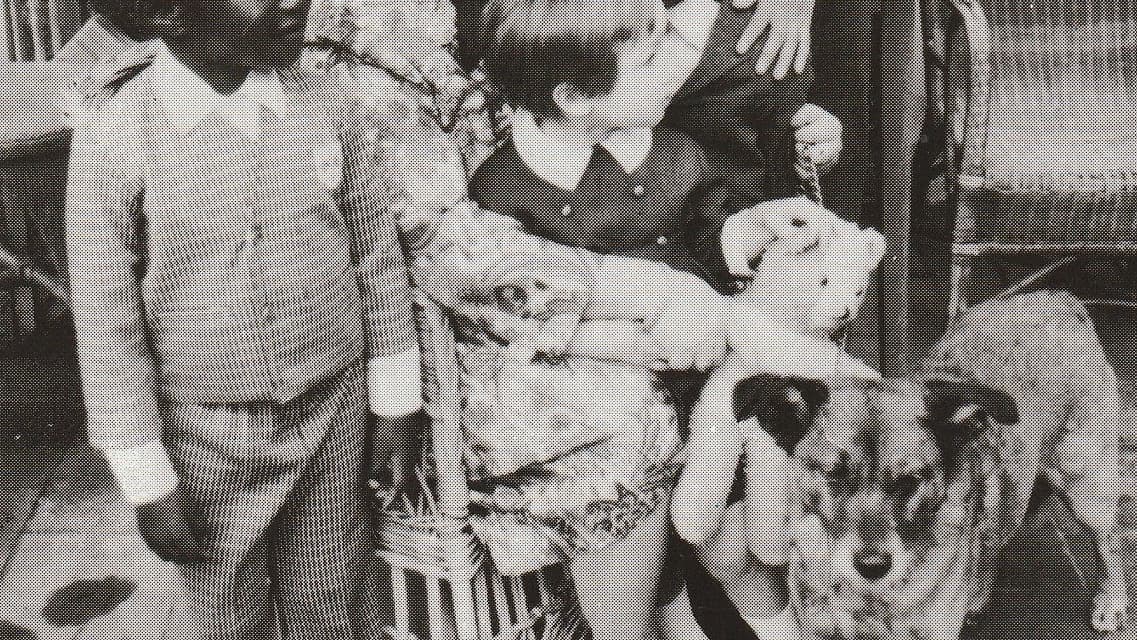 Refugees across world grateful to charity Ockenden Venture, now ...