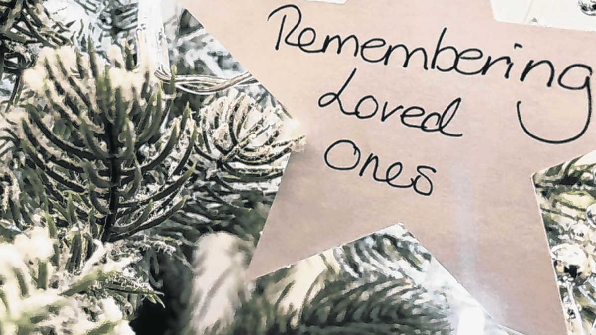Reach for the stars: Memory stars will decorate special tree at Woking ...
