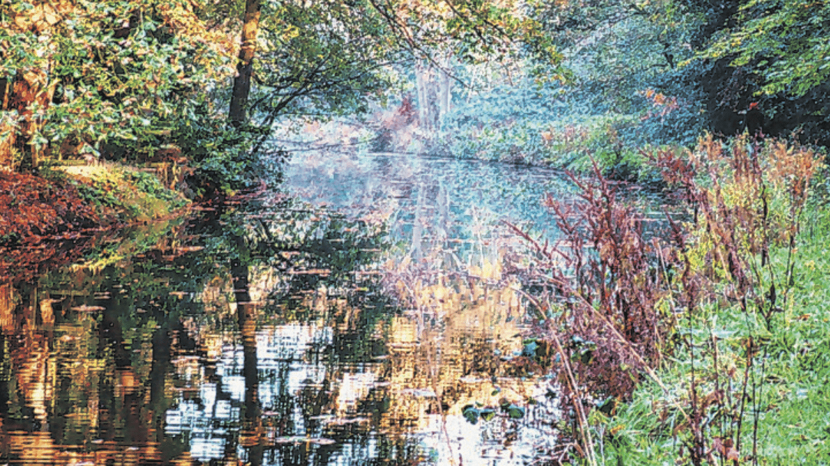 Royer Slater: Get ready for the free show that is nature’s annual ...