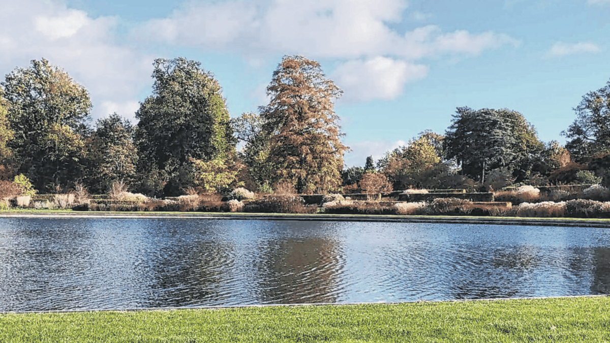 Royer Slater: Enjoy RHS Wisley’s wide palette of autumn colour ...