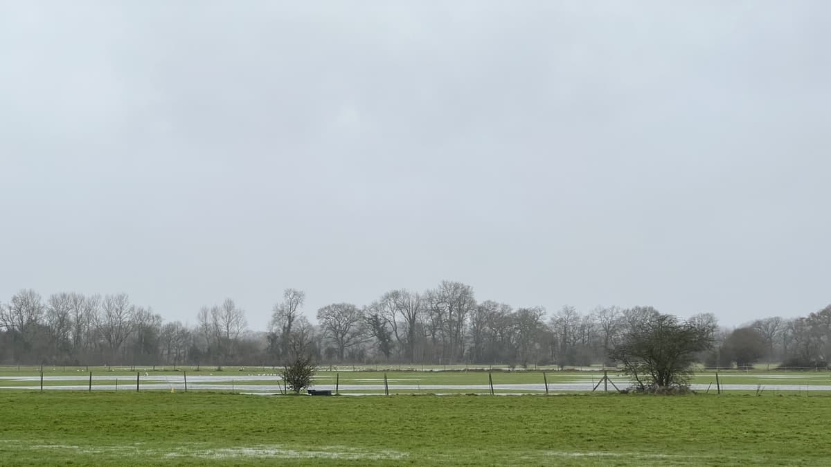 Woking MP opens petition against proposed West Byfleet development ...