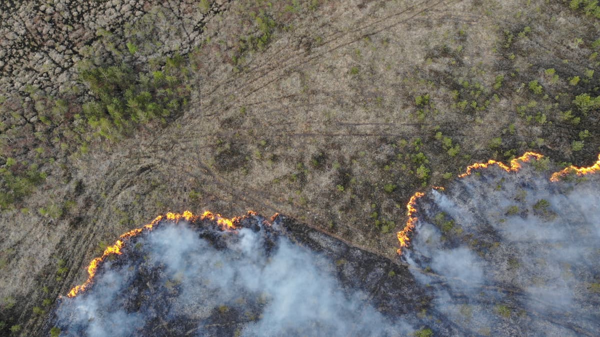 Surrey Fire and Rescue tackled more than 500 wildfires last year ...
