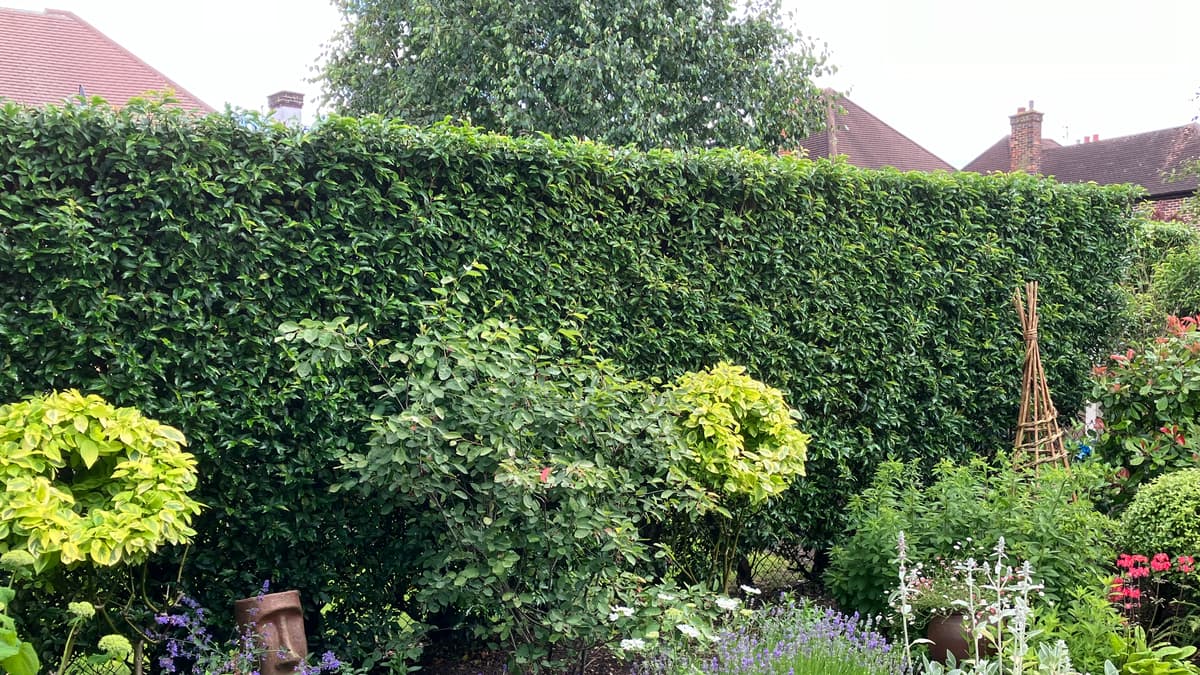 Horsell Garden Safari and FWCH raise money for charity ...