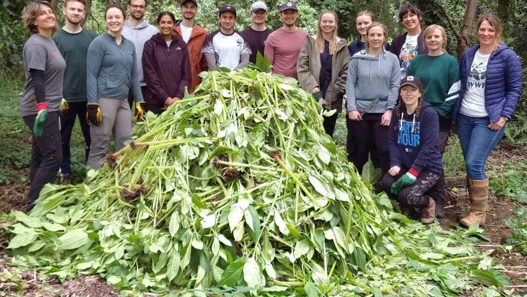 WEAct takes part in Great Big Green Week | wokingnewsandmail.co.uk