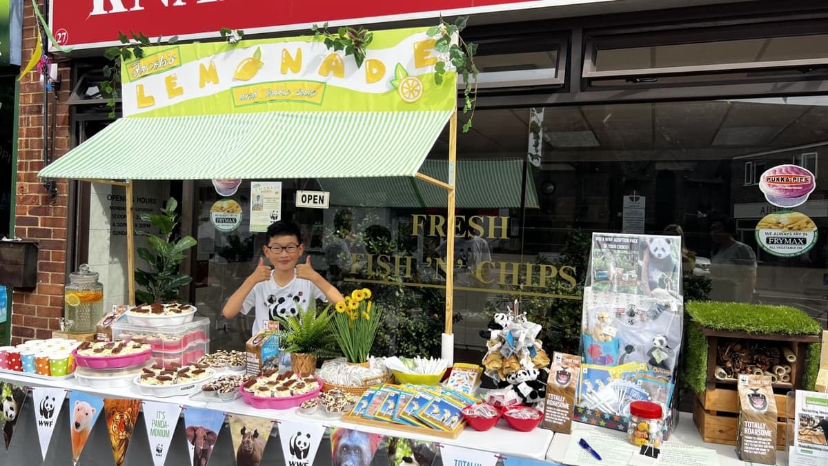 Knaphill youngster ready for latest WWF fundraiser | wokingnewsandmail ...