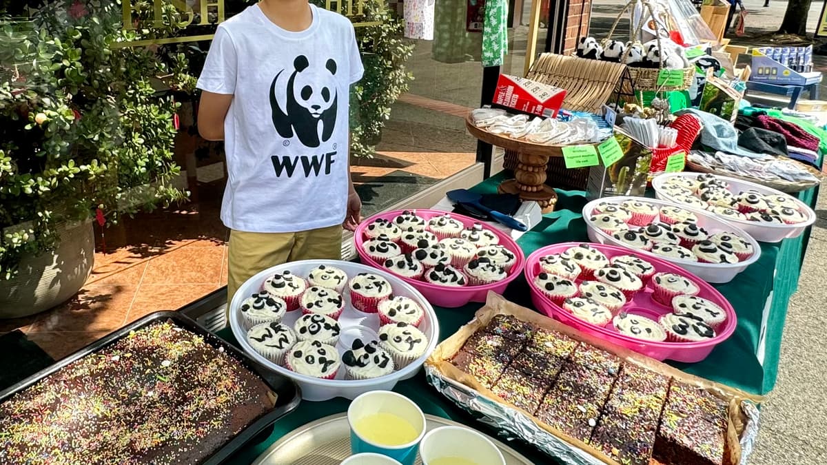 Youngster raises his highest total in WWF fundraiser ...