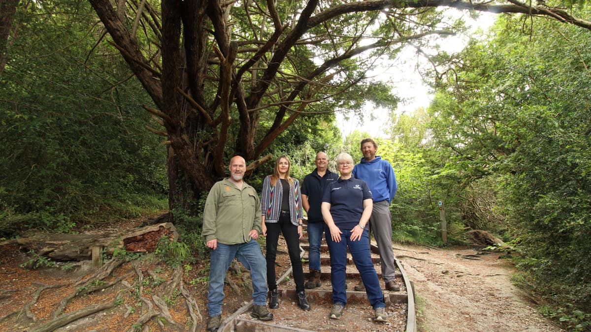 Milk bottle tops used in green rebuilding of Box Hill steps ...