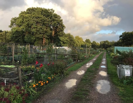 Have a fun day out at Derry's Field Allotments open day ...