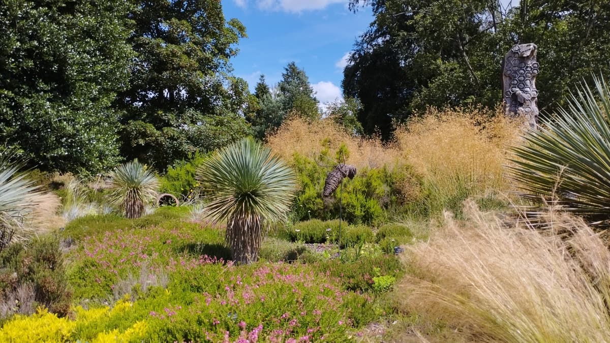 Here comes the rain again – but at least it's good for the plants ...
