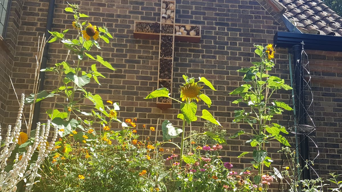 Gold award for green-minded Woking church | wokingnewsandmail.co.uk