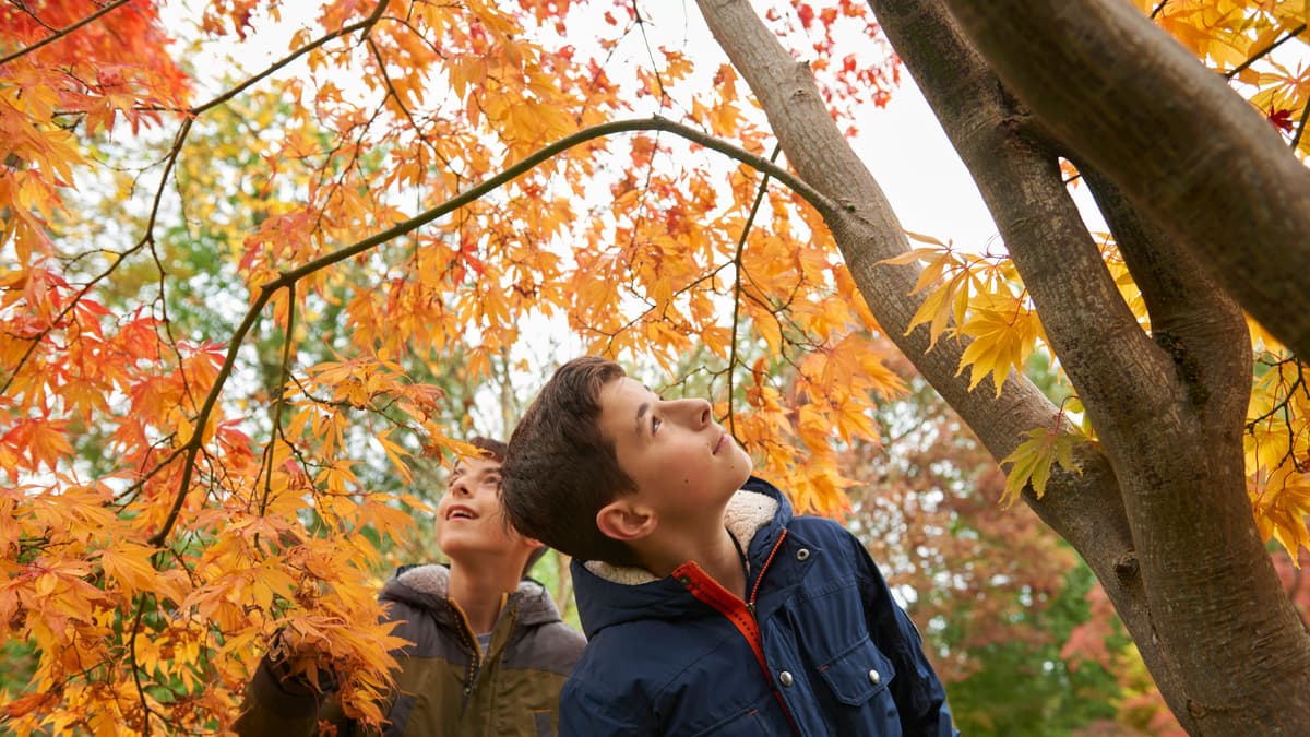 Autumn half-term activities | wokingnewsandmail.co.uk