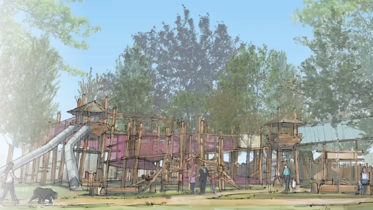 VIDEO: Birdworld set for biggest-ever revamp as planners approve £ ...