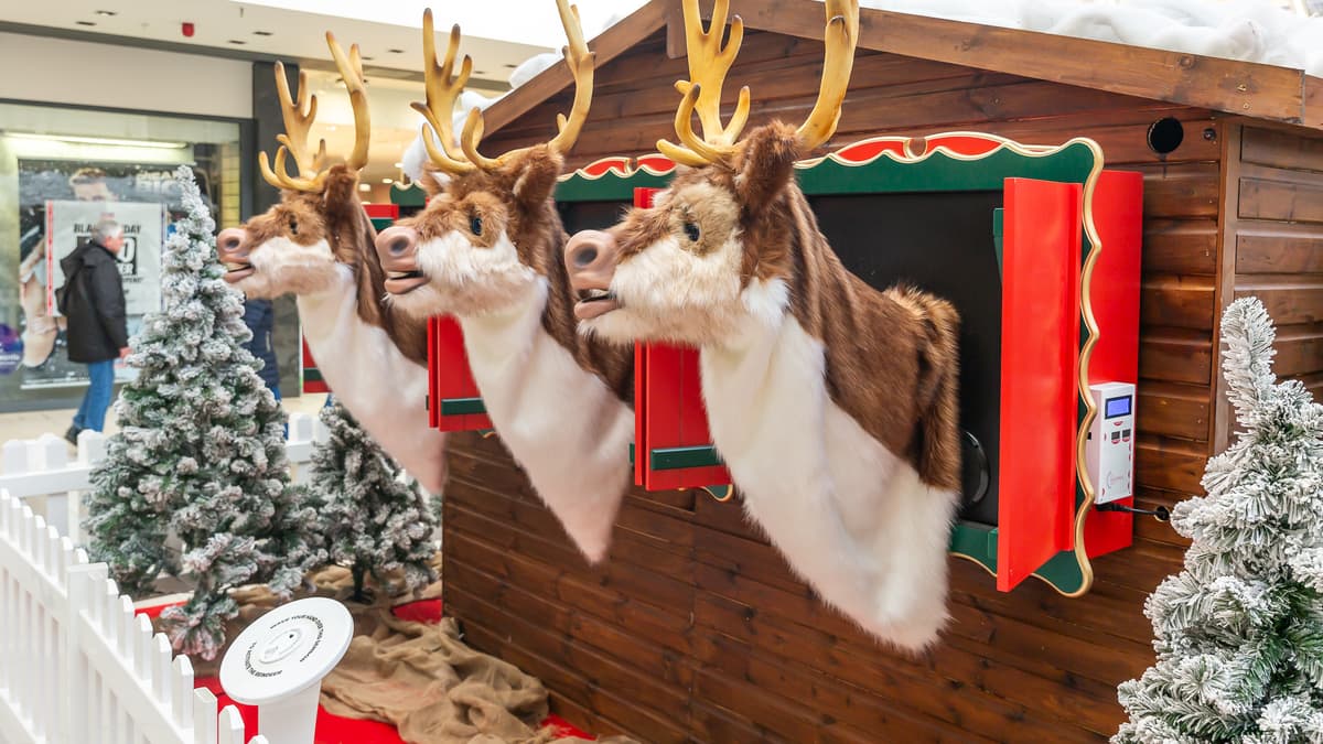 Visitors can make the most of the festive season at Victoria Place ...