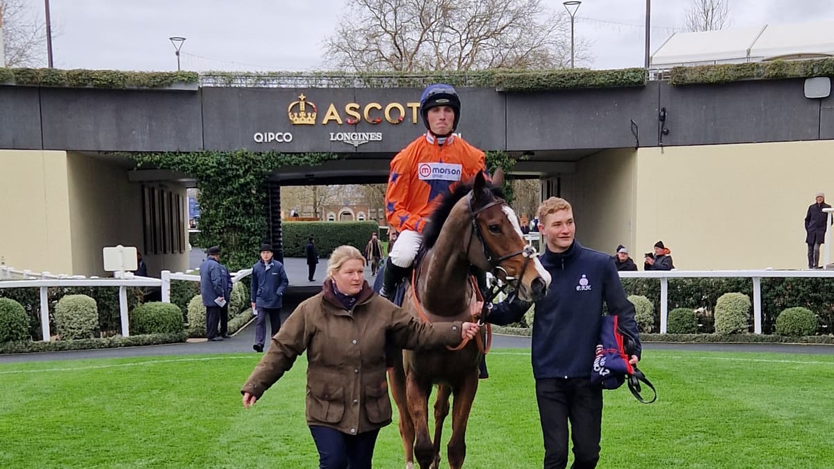 Mark Of Gold wins Grade 2 Howden Noel Novices Steeple Chase at Ascot ...