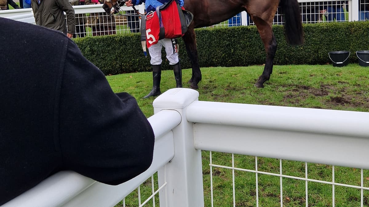 Grand Military Gold Cup day takes place at Sandown Park ...