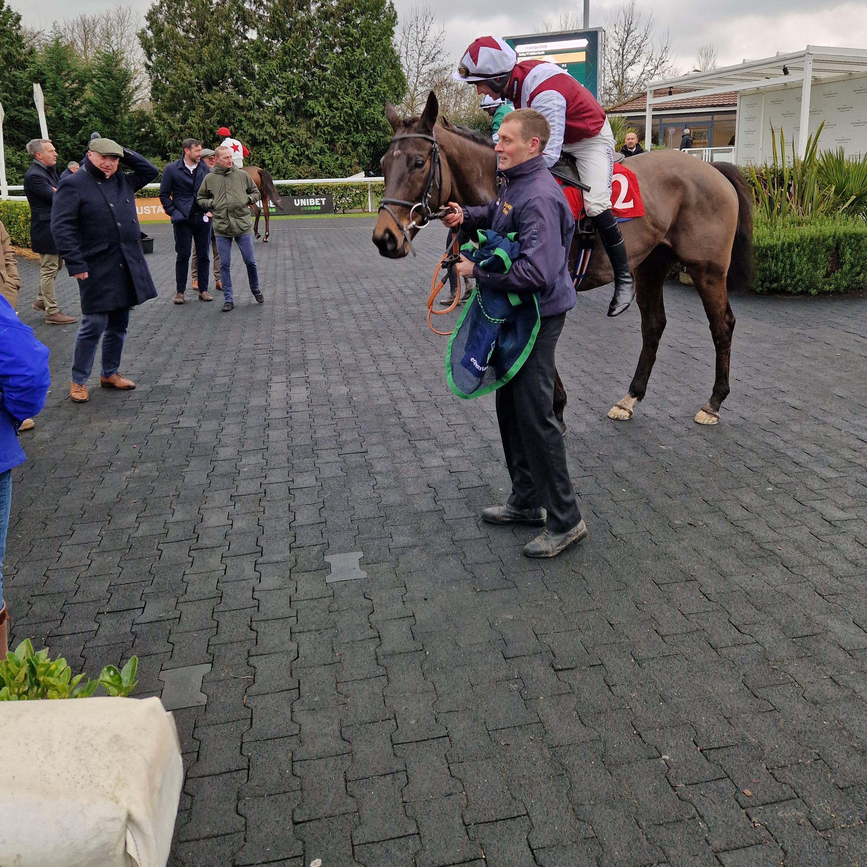 El Rio wins handicap chase at Kempton Park | wokingnewsandmail.co.uk