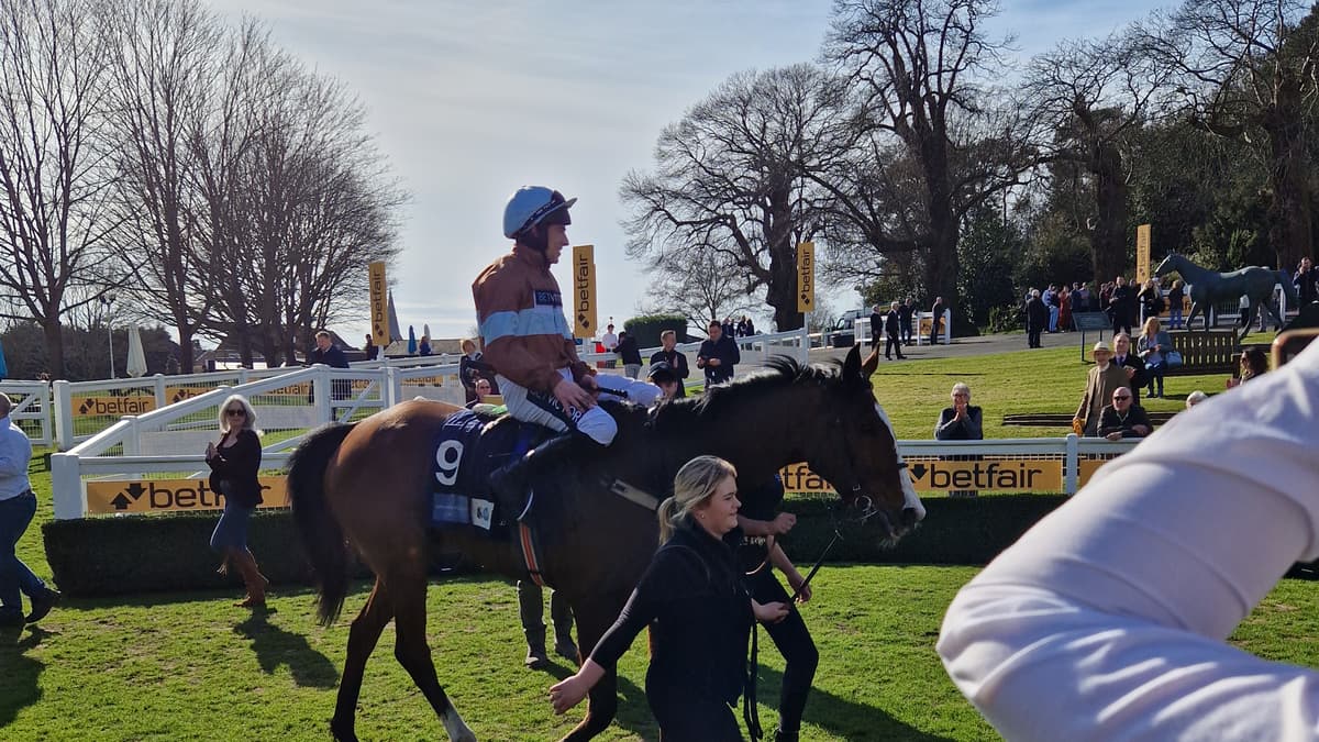Go Dante seals back-to-back Betfair Imperial Cups at Sandown Park ...