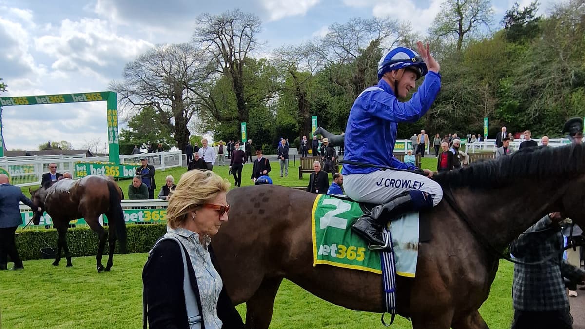 Dancing Gemini shines at Sandown | wokingnewsandmail.co.uk