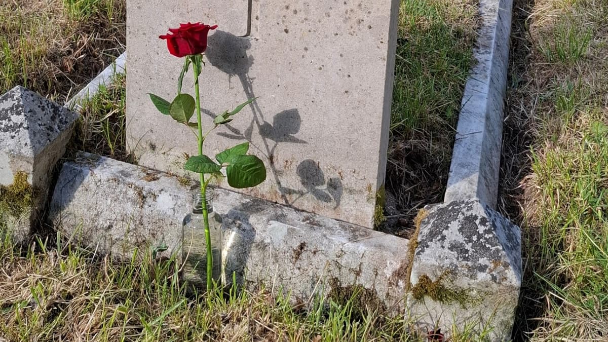 Why the scent of woodsmoke takes me back in time | wokingnewsandmail.co.uk