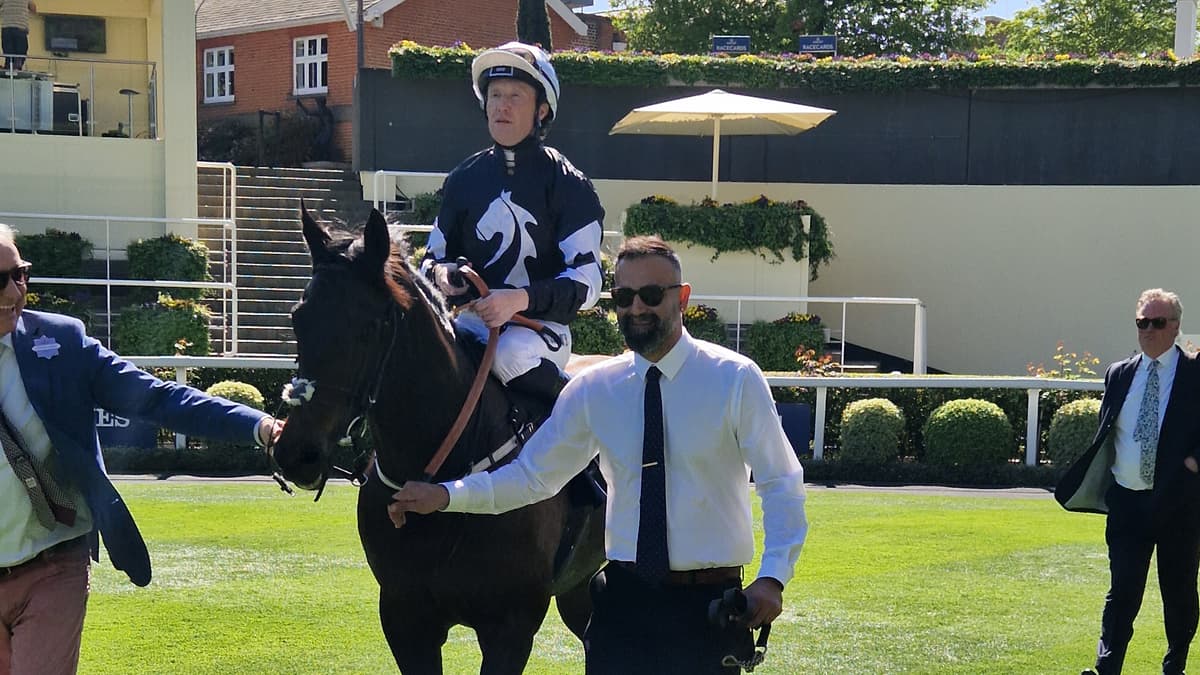 Shoemark steers Up The Pace to victory to triumph at Ascot ...
