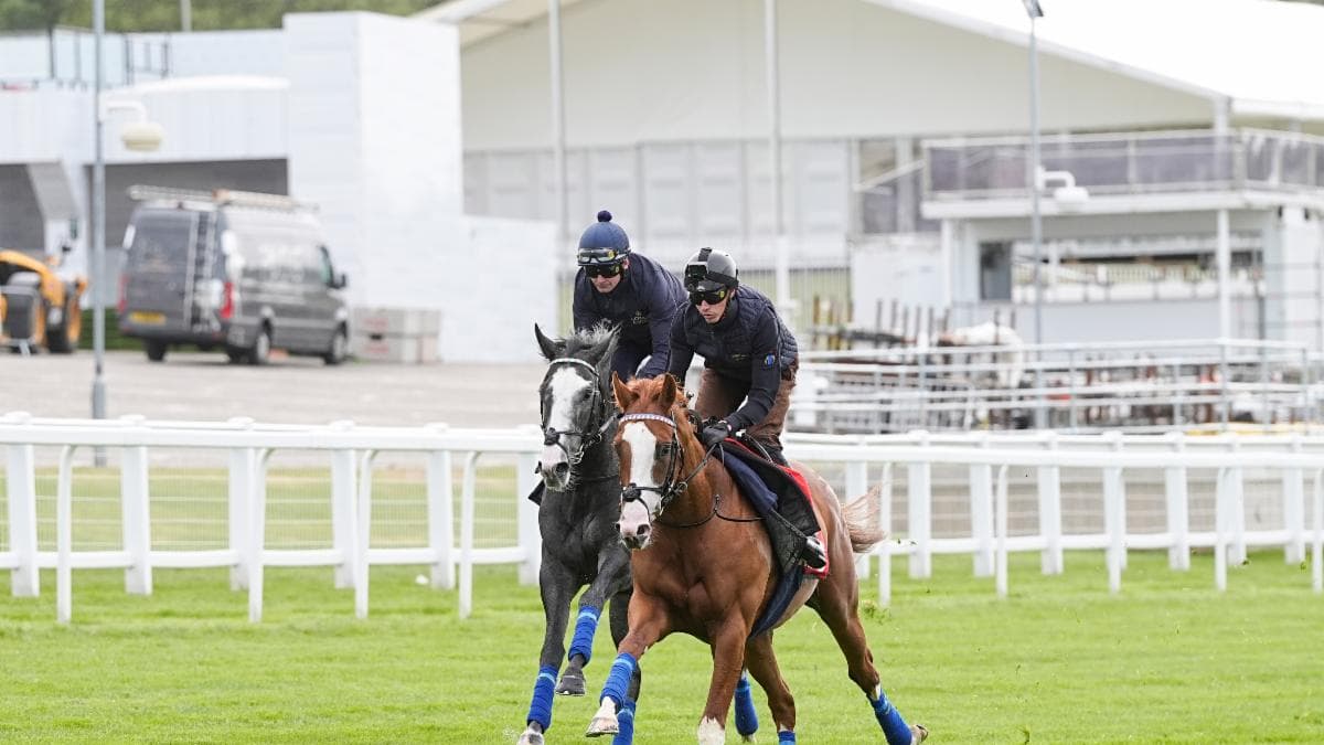 Gallop boosts Gosden's Epsom Derby contenders | wokingnewsandmail.co.uk