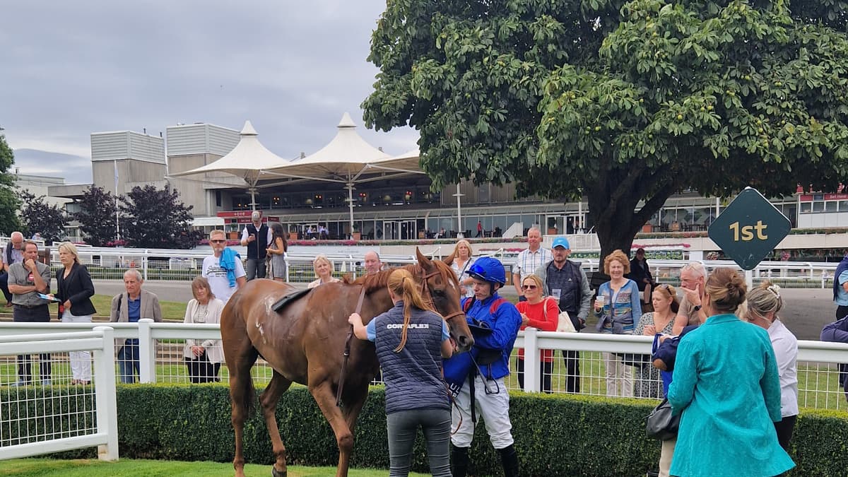 Jack Dace claims milestone win at Sandown Park | wokingnewsandmail.co.uk